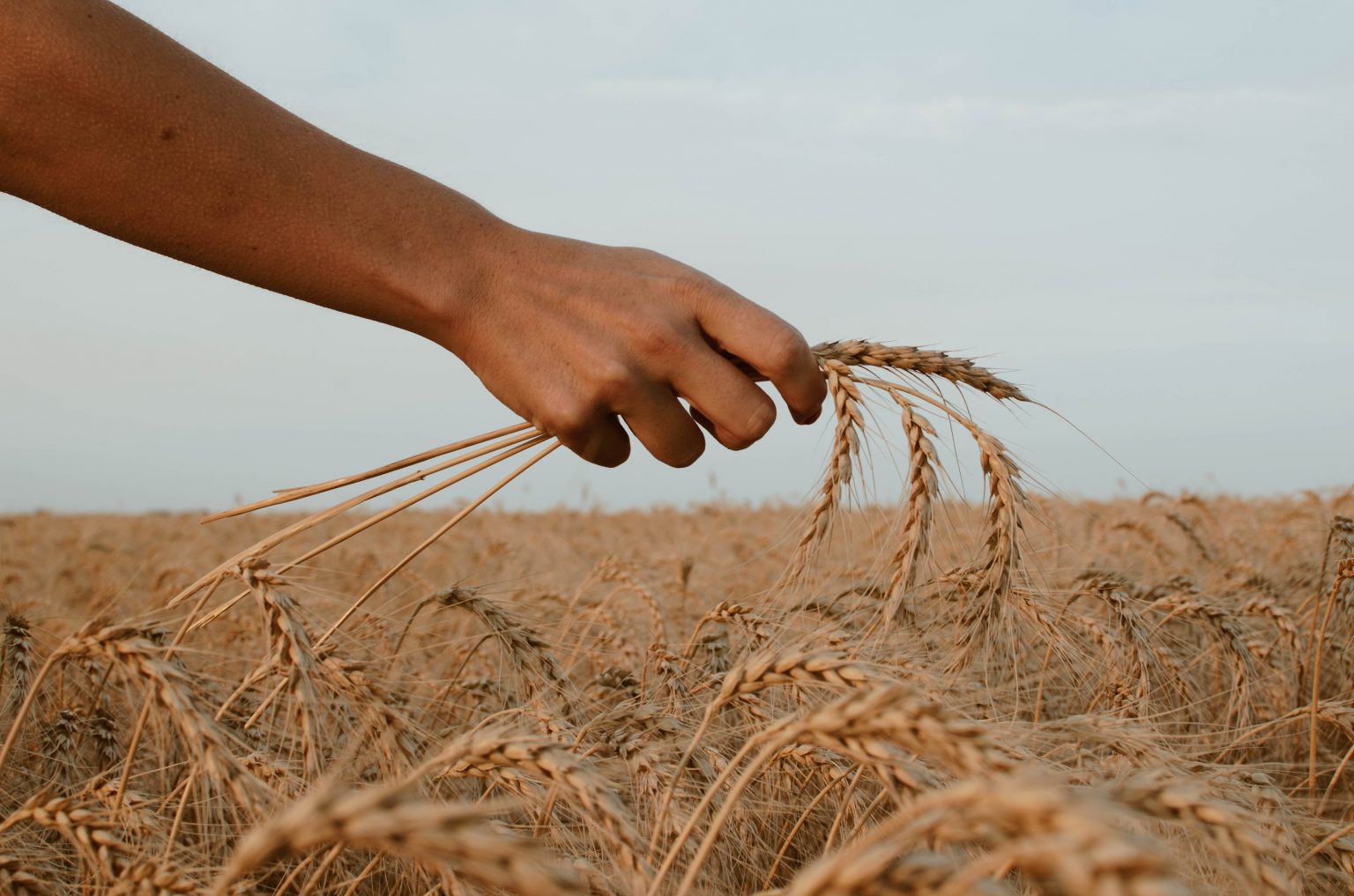 Agiboo - Commodity trade and risk management software solution